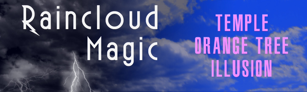 Temple Orange Tree Illusion - Raincloud Magic - Randi Rain